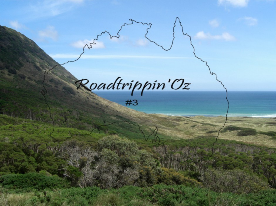 Roadtrippin' Oz: meine Tipps für einen Roadtrip in Australien - Vol.3 ...