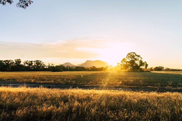 Stirling Range & Bluff Knoll in Westaustralien - Tipps und Infos ...