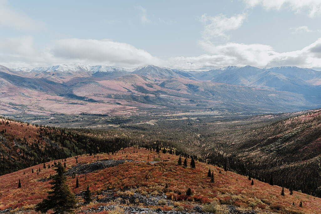 Tombstone Territorial Park im Herbst - ein Rausch der Farben // take an ...